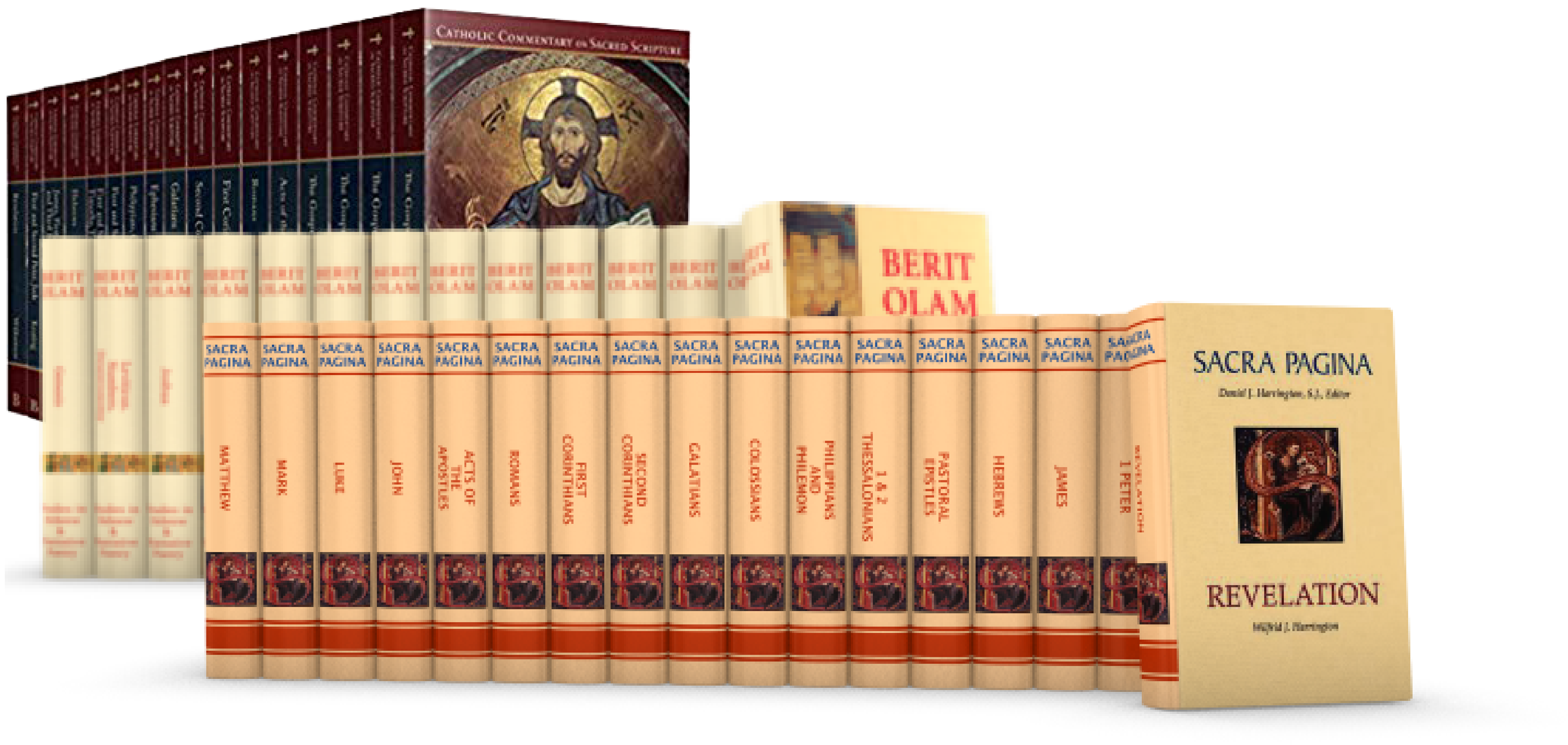 Catholic Commentaries Set Accordance Catholic Commentaries Set Accordance