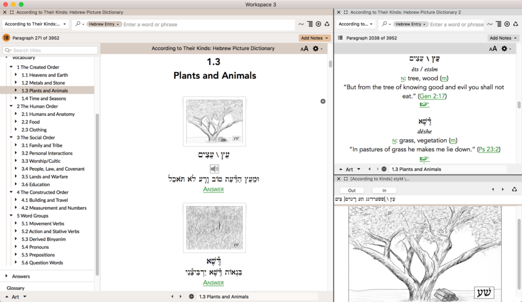 According to Their Kinds (Scheumann, Scheumann) - Accordance
